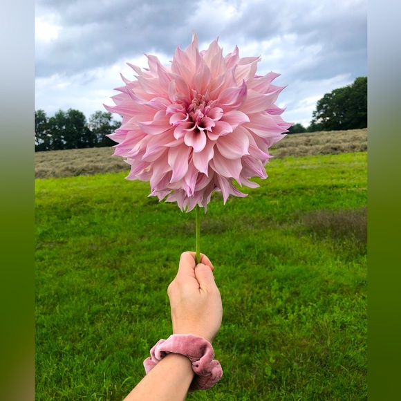 Talbots | Shoes | Feel Free To Send Reasonable Offers | Poshmark